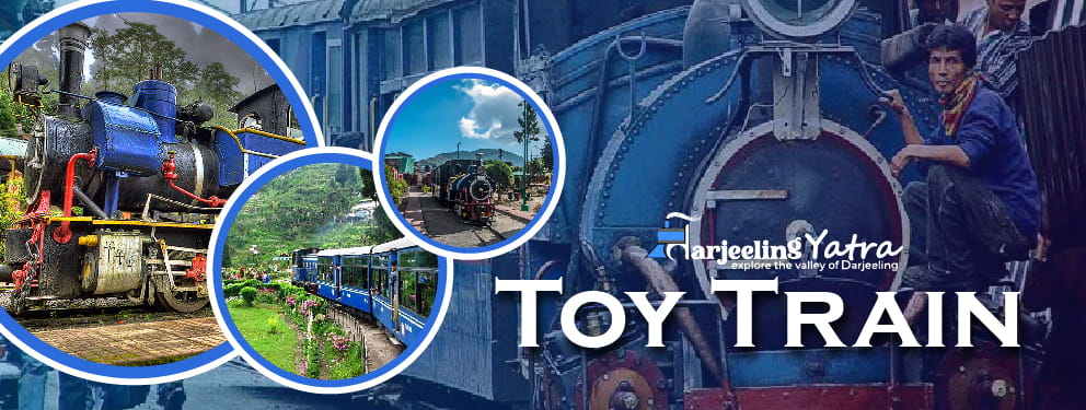 Darjeeling Toy Train- Detailed Guide about DHR Ride